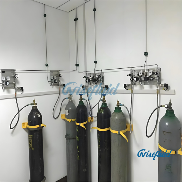 Specialty Gas Manifolds - Wisefluid